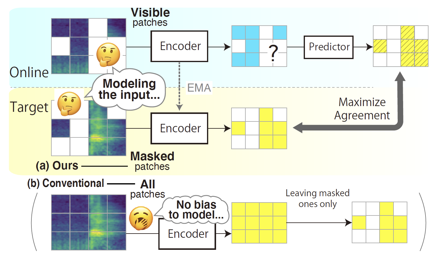 Masked Modeling Duo Learning Representations By Encouraging Both
